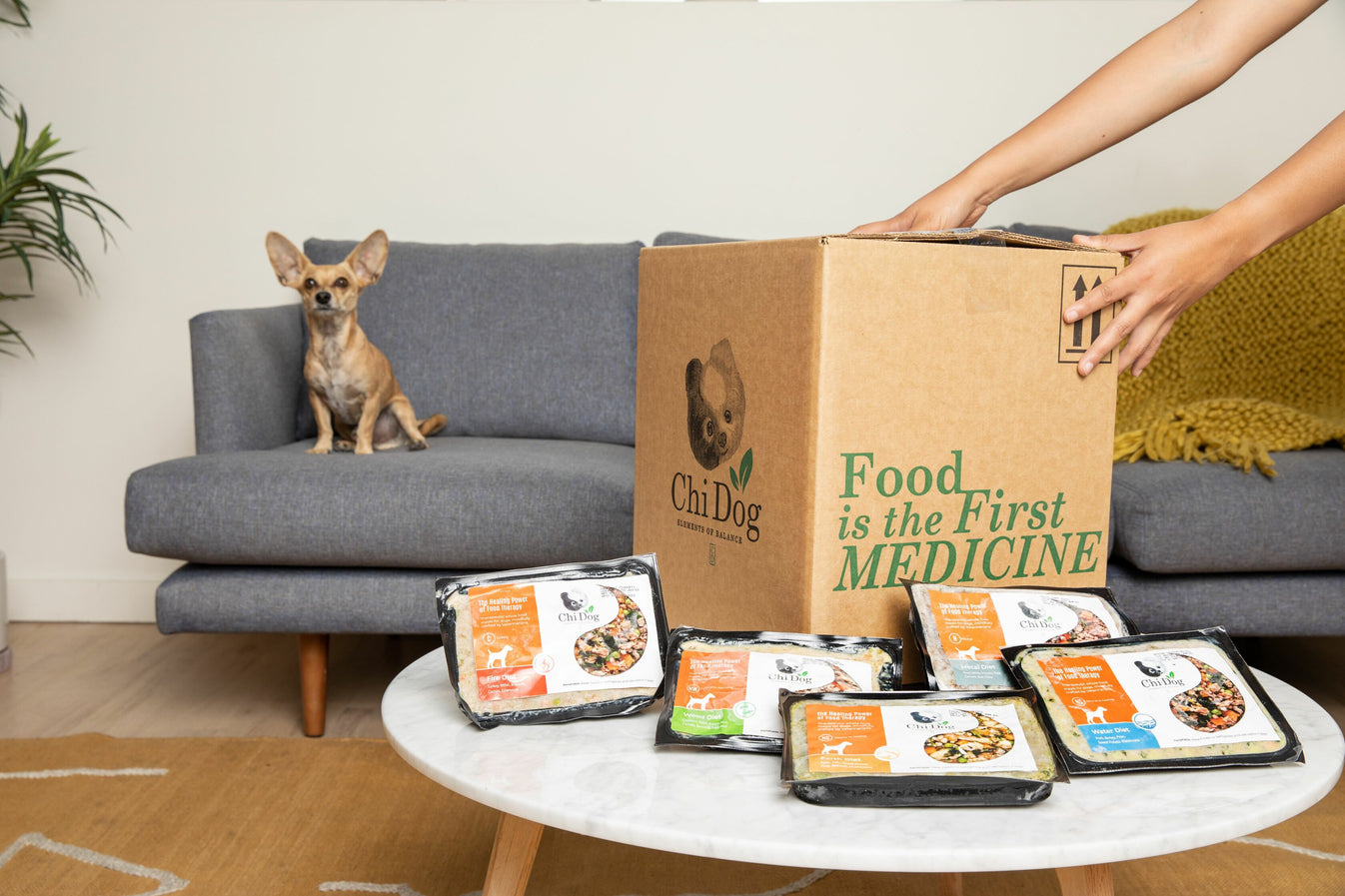 Sample Pack - Chi Dog